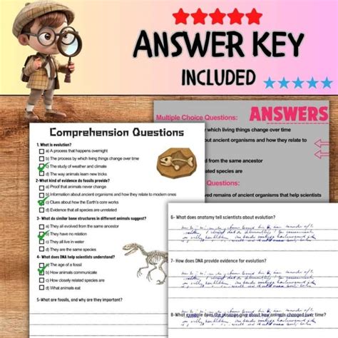 Evidence For Evolution Reading Comprehension And Practice Activities By