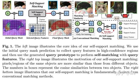 Eccv Self Support Few Shot Semantic Segmentation