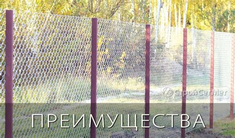Забор из сетки-рабицы, цена от 30 руб, купить "под ключ"