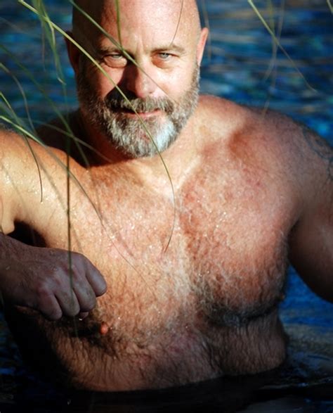 Bear ~ Random Bear Pics ~ Woof Forums