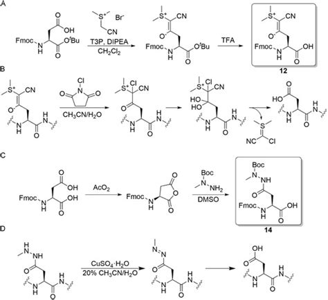 Aspartimide Formation And Its Prevention In Fmoc Chemistry Solid Phase