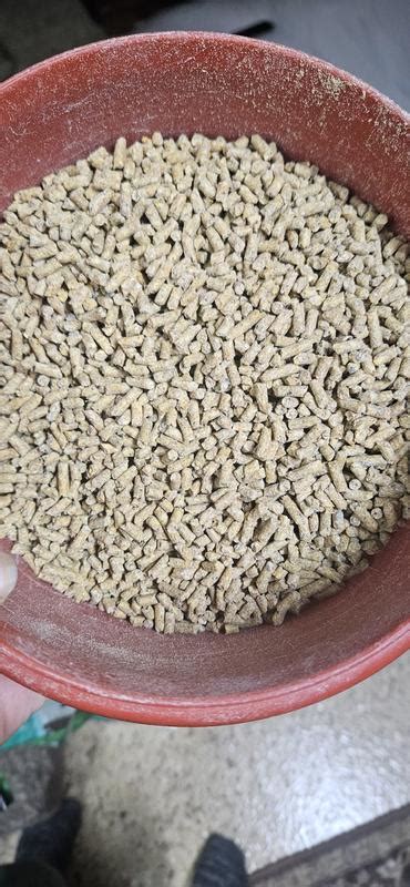 NUTRENA NatureWise Layer Protein Pellet Chicken Feed Lb Bag Chewy