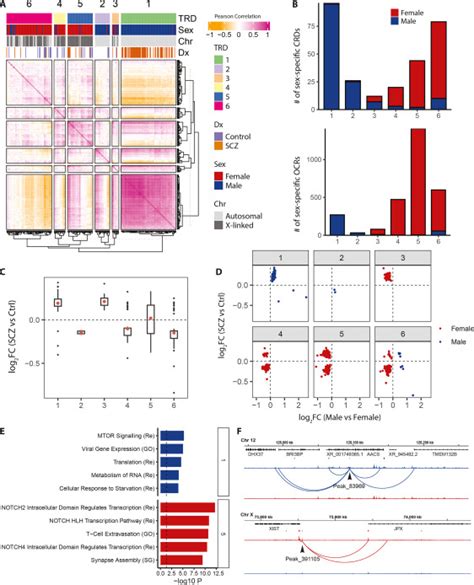 Sex Differences In Brain Cell Type Specific Chromatin Accessibility In Schizophrenia
