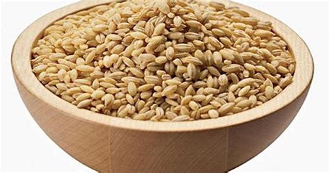 What Are Benefits Of Barley On Your Health