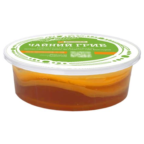 Купить Чайный Гриб Набор для приготовления Комбучи Средний KomBUCHA BOX ...