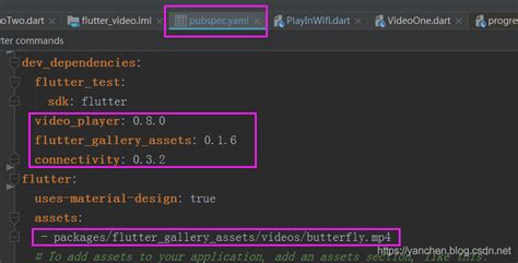 Flutter之播放视频flutter Video组件 Csdn博客