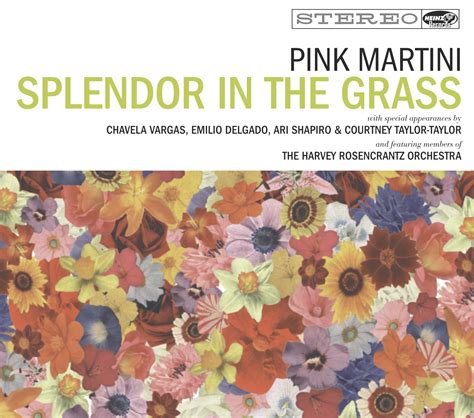 Pink Martini Splendor In The Grass