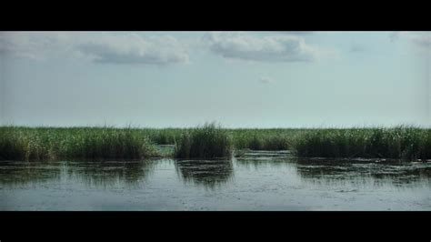 Where The Crawdads Sing Screencap Fancaps