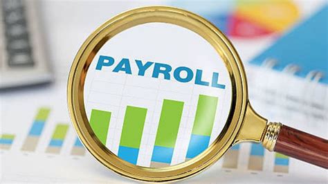 Perhatikan Hal Berikut Sebelum Menggunakan Aplikasi Payroll Untuk