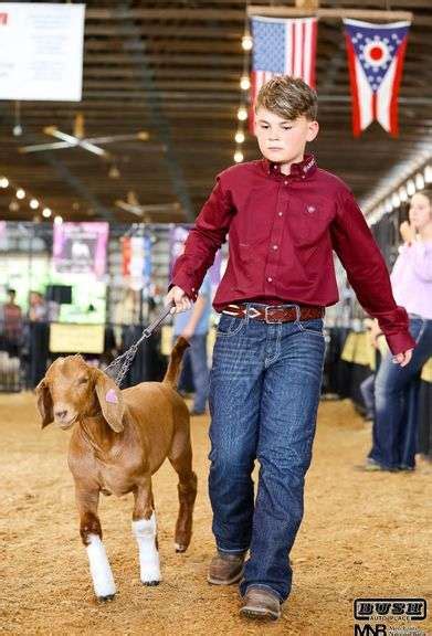 Wyatt Dean Aanda Ranchers Breeders World