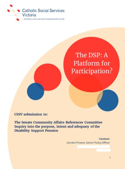 The DSP A Platform For Participation Catholic Social Services Victoria