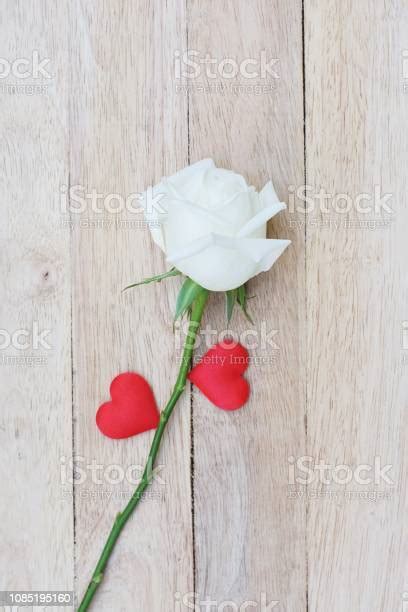 흰색 배경 부드러운 톤 발렌타인 개념 복사 공간에 아름 다운 장미 꽃 부드러운 열정 개념에 대한 스톡 사진 및 기타 이미지