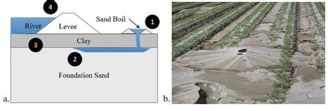 A Schematic Illustration Of Bep And B Photograph Of A Sand Boil Download Scientific Diagram A Schematic Illustration Of Bep And B Photograph Of A Sand Boil Download Scientific Diagram