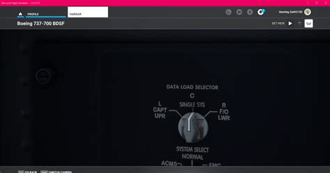 Pmdg 737 Discussion Pc Version Part 1 6579 By Gamingcat2130 Aircraft Microsoft Flight