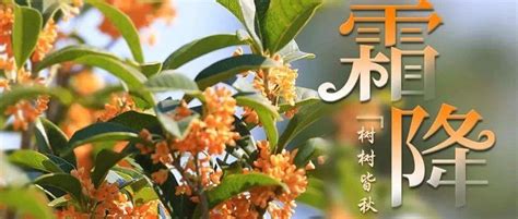 FM95 就在今天12时51分 日照