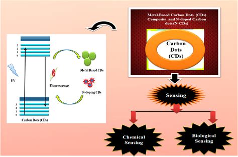Figure 1 From Potential Development Of N Doped Carbon Dots And Metal
