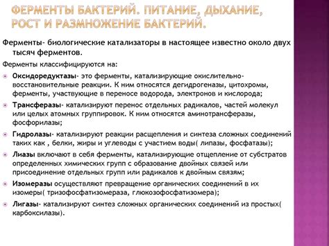 Культивирование бактерий презентация онлайн