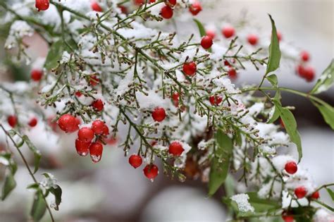 Corechem Inc On Linkedin Holidayseason Corechem Holidays