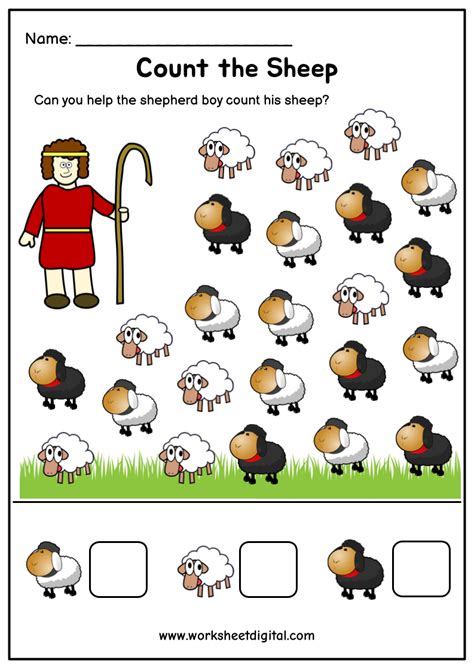 Count The Sheep Worksheet Digital 1 Teacher Made Resources