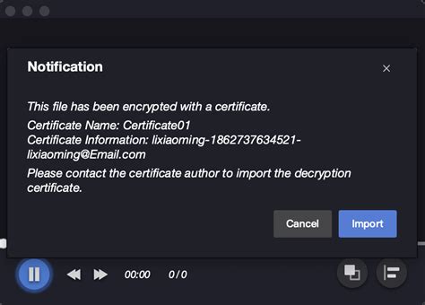 File Encryption · Pag官网 Pag动效