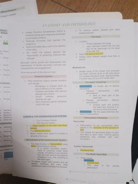 Anatomy And Physiology Transes Reviewer For Med Students Everything