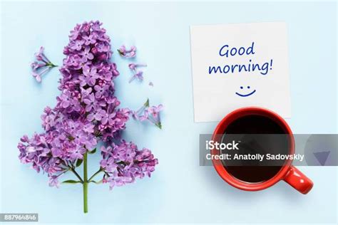 좋은 아침 소원 파란색 배경 평면도에 커피 컵과 라일락 꽃 0명에 대한 스톡 사진 및 기타 이미지 0명 꽃 식물 마실 것