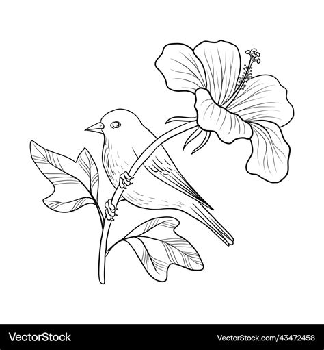 Drawing Bird At Tree Branch With Flower Royalty Free Vector