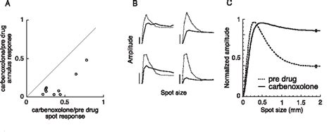 Figure 1 From The Classical Receptive Field Surround Of Primate Parasol Ganglion Cells Is
