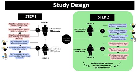 Study Design And Interventions Data From The Second Phase Of A