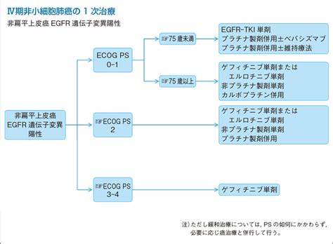 Ebmの手法による肺癌診療ガイドライン2015年版