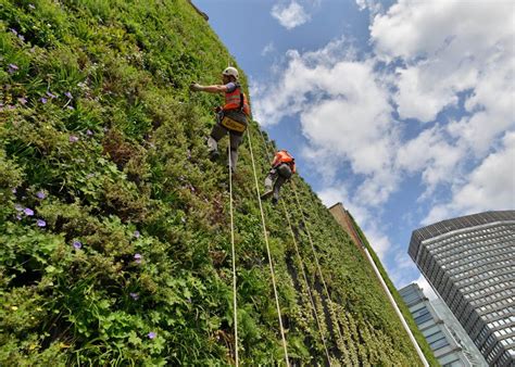 Londons Largest Living Wall Will Combat Flooding