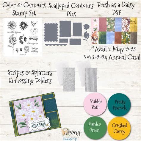 Stampin Up Color And Contour Fresh As A Daisy Front Flap Card With
