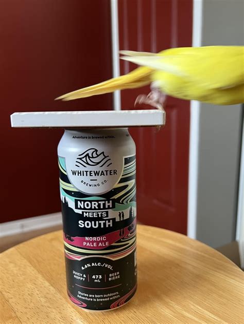 Hmm Maybe Ill Just Have A Sip Nope Bye Rparayeet