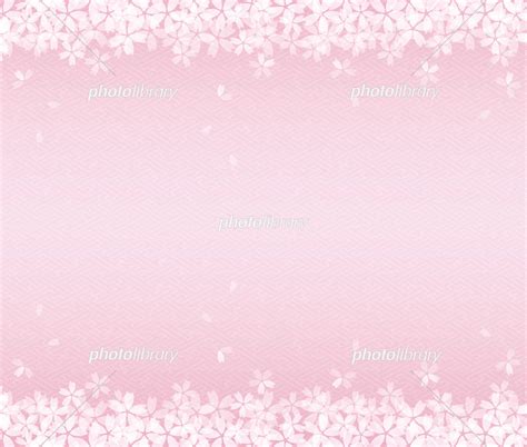 桜の和風背景イラスト 桜吹雪 イラスト素材 [ 5468864 ] フォトライブラリー Photolibrary