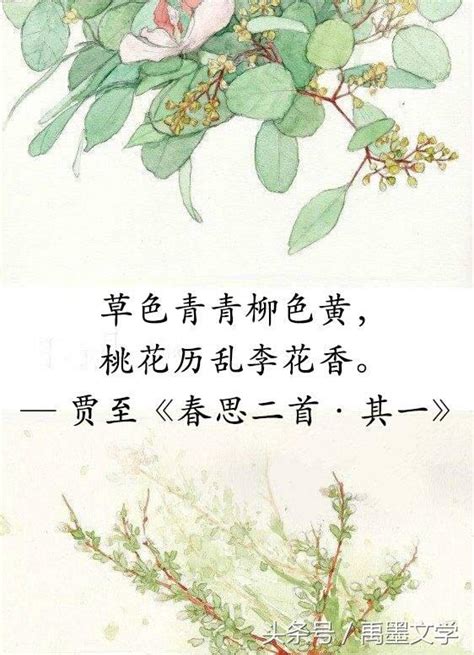 十條短句相思郎相思長別夢依稀菊又黃風留滿地 每日頭條