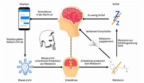 Schlafhormon So Beeinflusst Melatonin Den Muskelaufbau Und Fettabbau