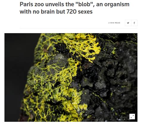 Blob Irl R SS13
