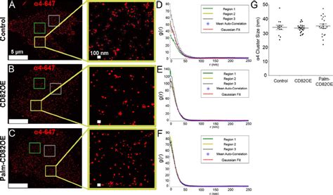 the α 4 unit is organized into small scale clusters reconstructed