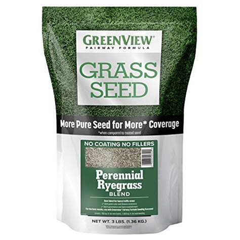 Best Grass Seed With Mulch And Fertilizer 2025 Update Social Moms