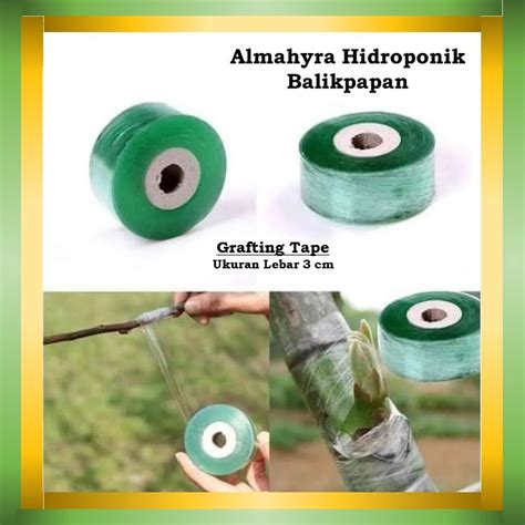 Jual Grafting Tape Plastik Okulasi Sambung Pucuk Enten 3 Cm Hijau