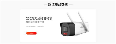 大华安防监控协通专卖店 京东
