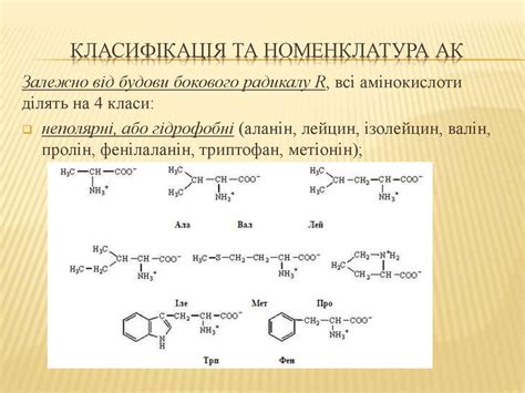 L α амінокислоти пептиди білки Online Presentation