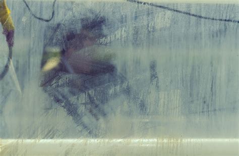 무료 이미지 물 보케 흐림 거리 햇빛 아침 잎 웨이브 창문 반사 더러운 색깔 푸른 자료 솔직한