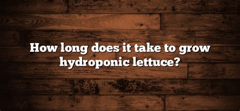 How Long Does It Take To Grow Hydroponic Lettuce Inter Culturalu
