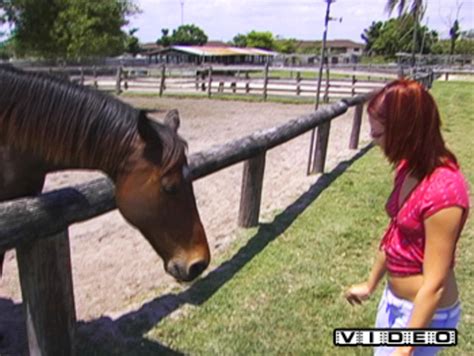 Tug Jobs Brandi Loves To Be Fucked Like A Rag Doll By T Xxx Dessert