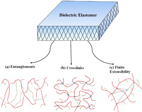 What Is Polymer Chain Length At Hudson Slattery Blog
