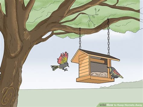 3 Ways To Keep Hornets Away WikiHow