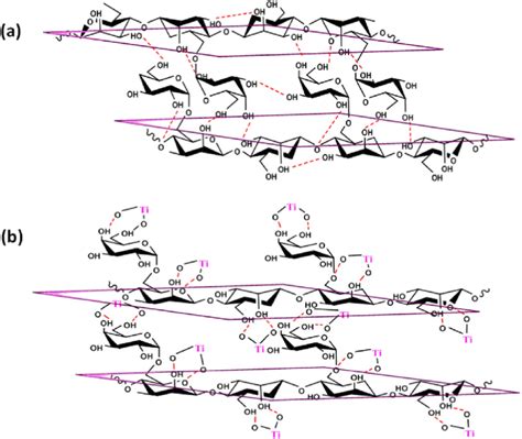 A Intra And Inter Chain Hydrogen Bonding Of Gg B Hydrogen Bonding