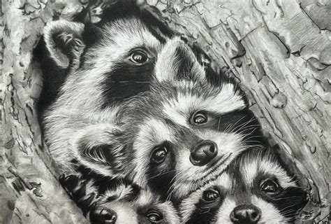 Art Of Texturing Realistic Fur With Indenting And Graphite Pencil