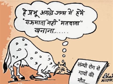 Chaudhary Said Lumpy Spread Due To The Carelessness Of The State Did